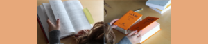 Statthaftigkeit der Berufung und Zulassungsgründe im ...